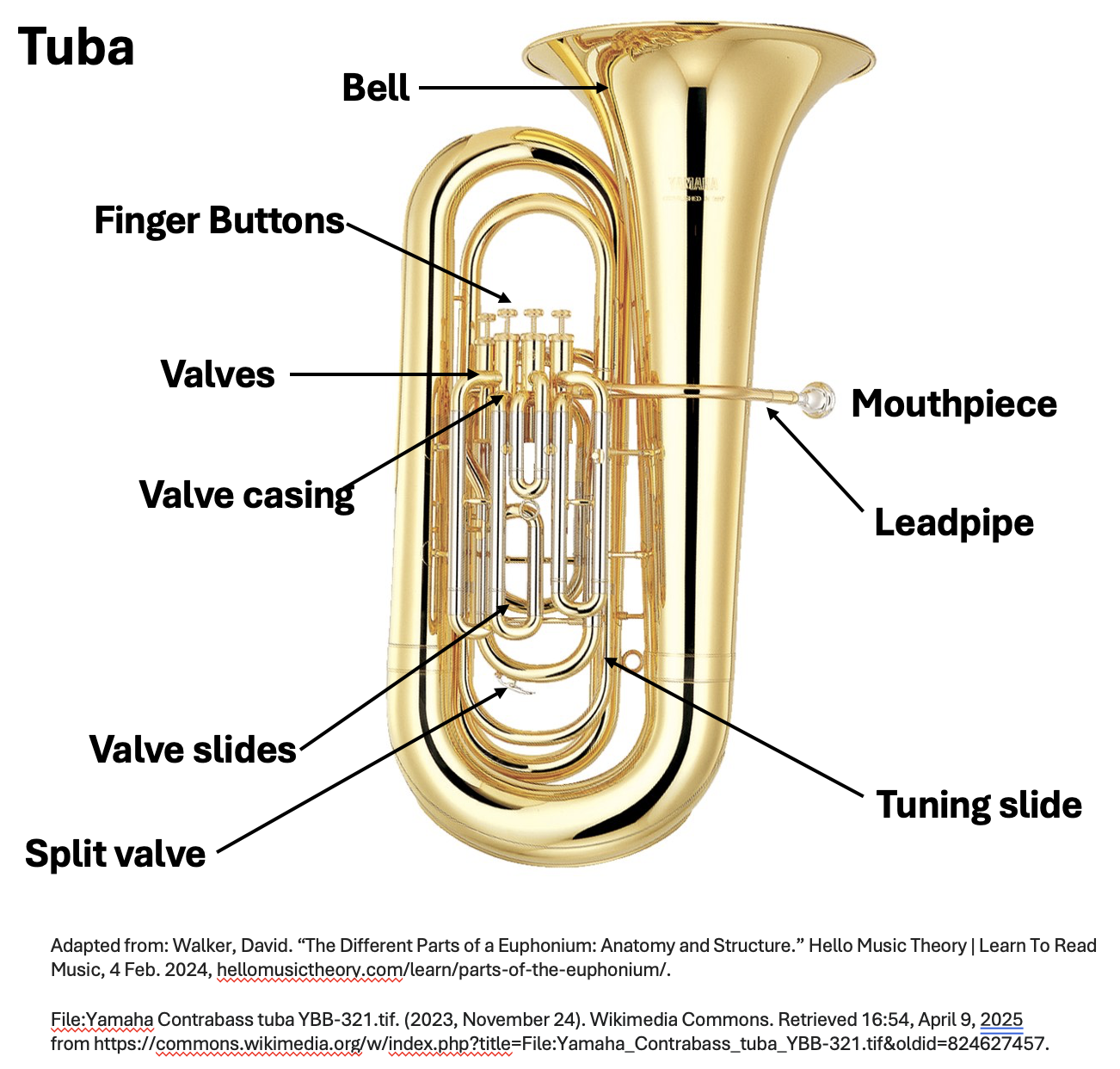 Tuba and Euphonium Part 2 - The Instruments and Their History - Music ...